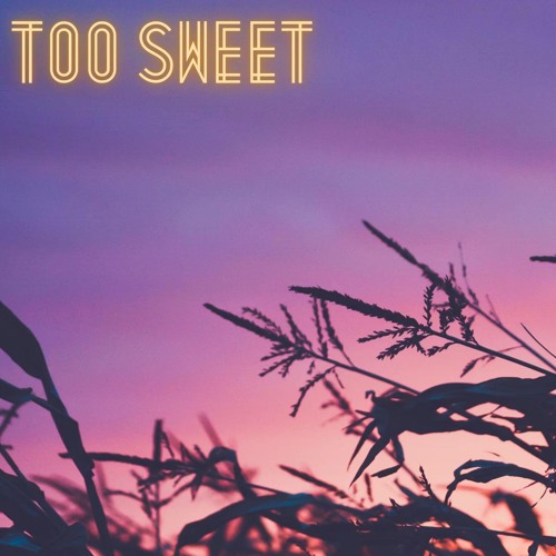 Stream Too Sweet by Runan Dondur | Listen online for free on SoundCloud