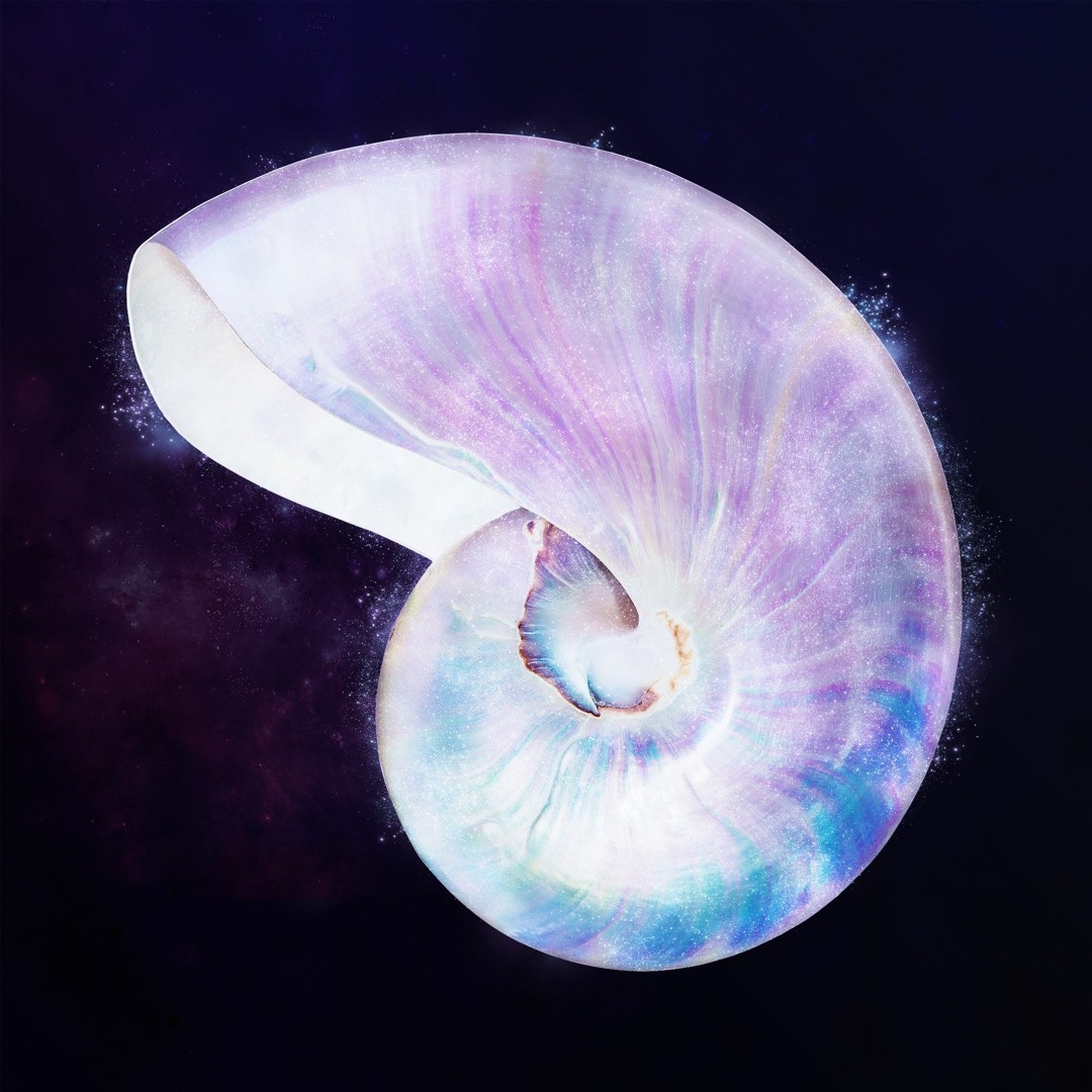 Stream Mettaverse | Listen to Light Forms playlist online for free on ...