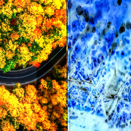 Stream Mi fe by XYZ ART | Listen online for free on SoundCloud