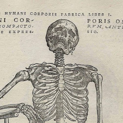 Stream Archon 220324 by ZAXCY . ⁺ ˚ | Listen online for free on SoundCloud