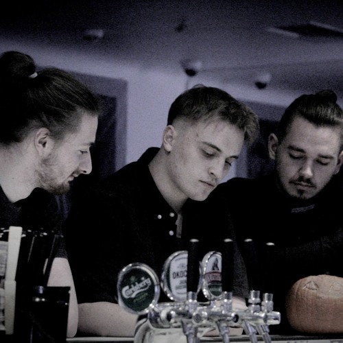 Stream HOTEL PLAZA - Crawling (remix) by crackwave | Listen online for ...