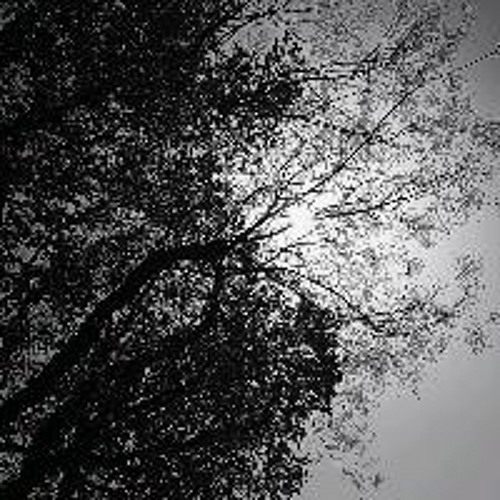 Stream COUP£++**¡! | Listen to Untiljapan (unreleased) playlist online ...