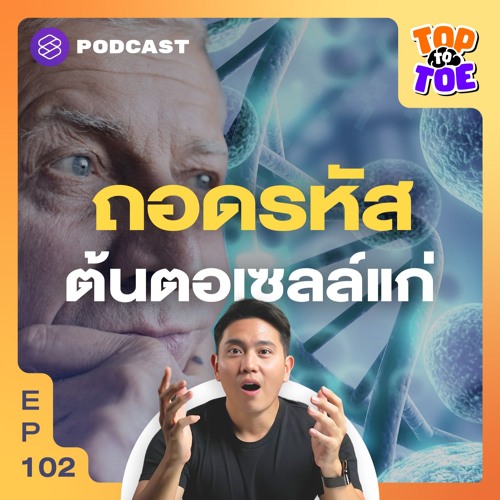 Stream Top to Toe EP.102 ถอดรหัส 14 ต้นตอเซลล์แก่เรียงตัว จุดตั้งต้นการ ...