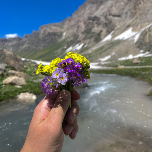 Stream Tolgahan Atmaca Listen To Sleeping Music Playlist Online For Free On Soundcloud