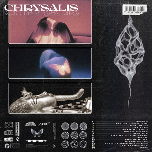 Stream CHRYSALIS (FULL STREAM) by yōli | Listen online for free on SoundCloud