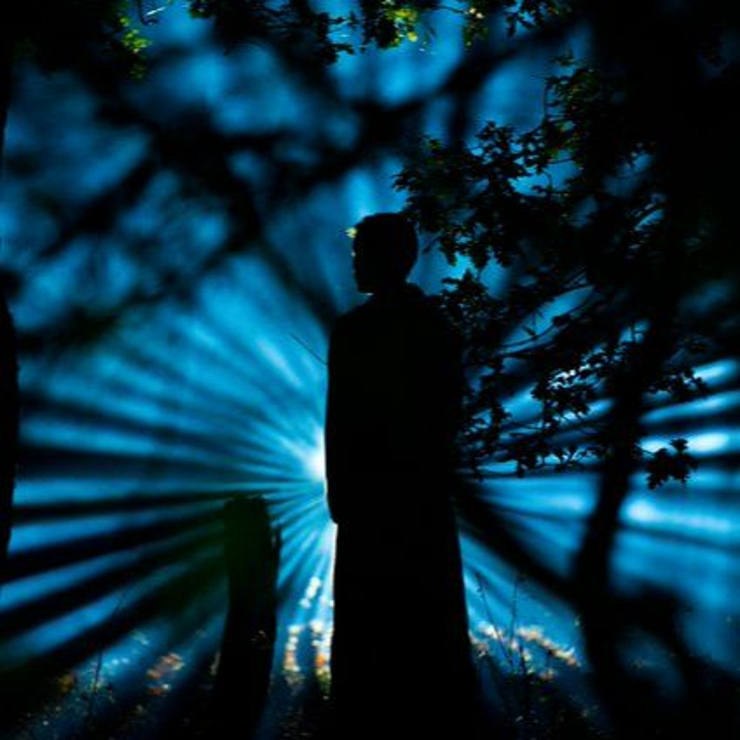 Listen to music albums featuring The 2020 Of | Devin Wild | Hardstyle ...