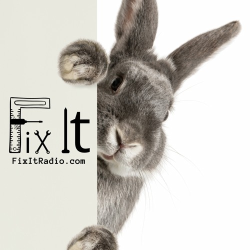 Stream FIX IT RADIO: Winter Kill & Tree Trimming, Rabbits Eating Car ...