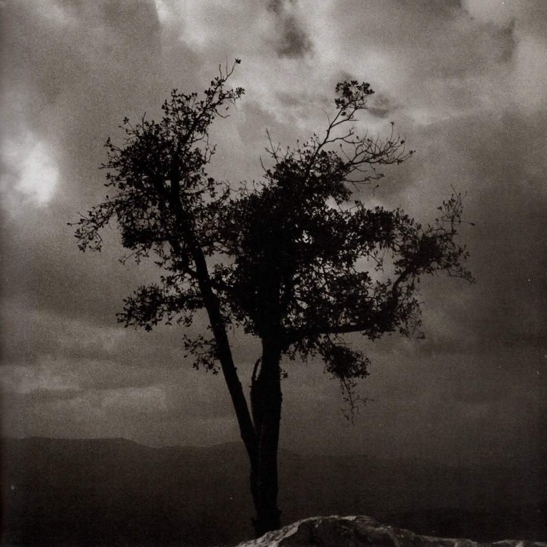 Stream Alon Mor | Listen to "Non-Fiction" playlist online for free on ...