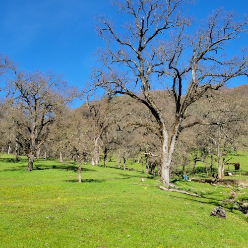 Stream 35. Grooving into Spring by jahromeo | Listen online for free on ...