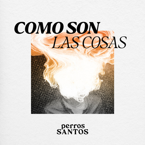 Stream COMO SON LAS COSAS by Perros Santos | Listen online for free on ...