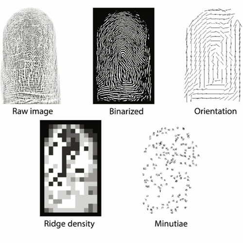 Stream episode Episode 264 - Fingerprints Proven by AI to Not Be Unique ...