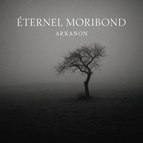 Stream Eternel moribond (boom bap 90') by Arkanon_music | Listen online ...