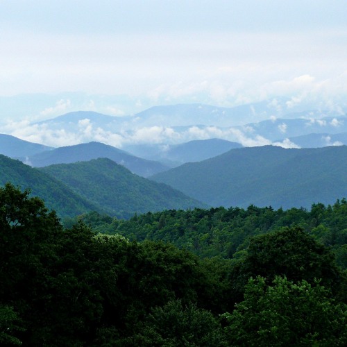 Stream Blue Ridge Mountains - Sophie Procter by Benjamin Marrington ...