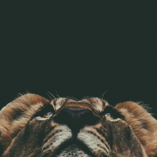 Stream Stephen Simmonds - Alone (Lord Finesse Remix) - Feat. Big L by abumoreno | Listen online ...