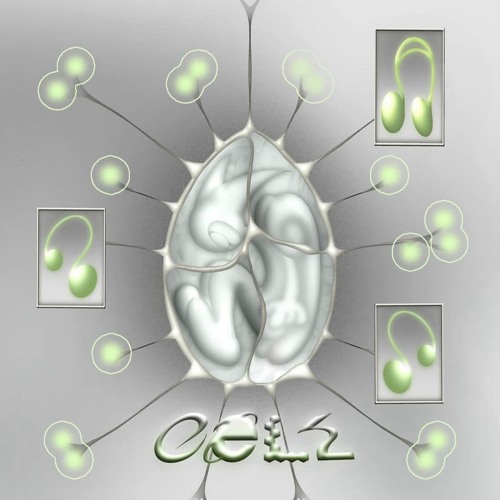 Listen to music albums featuring 影親 - 20240828(wed) CELL at SHAFT by ...