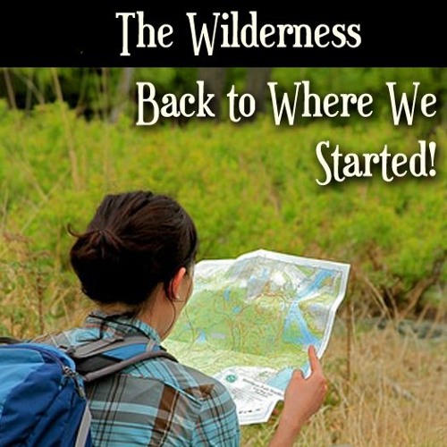 Stream The Wilderness "Back Where We Started" by Rev. Joel McDuffie ...