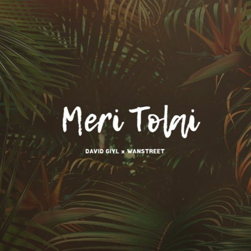 Stream MERI TOLAI by David Giyl | Listen online for free on SoundCloud