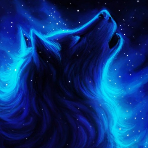 Stream WOLF ALPHA(QUEEN)💙🖤💛 | Listen to WOLF ALPHA (QUEEN) - MUSIC ...