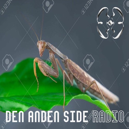 Stream DAS Radio 12: DJ mantis by Den Anden Side | Listen online for ...
