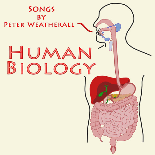 Stream Mitosis Song By Peter Weatherall Listen Online For Free On
