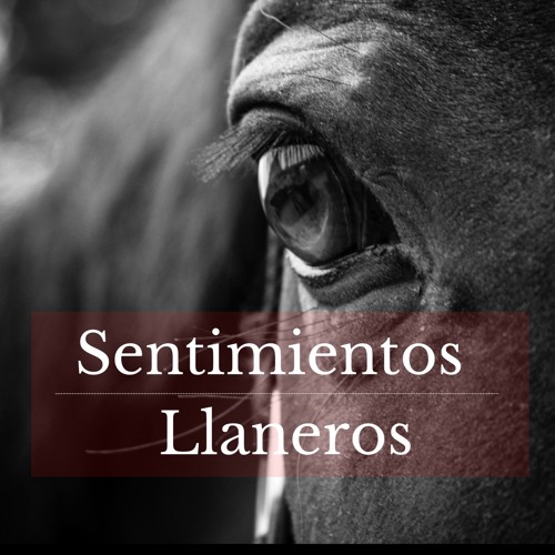 Stream Llegó la Reina by Genesis Quintero | Listen online for free on ...