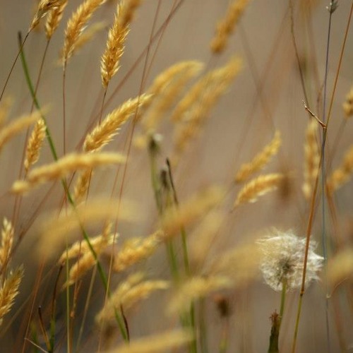 Stream When It's Time by Christopher Kinman | Listen online for free on ...