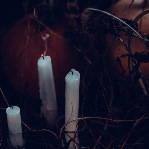 Stream Demon Tracker by Fire and Pernod | Listen online for free on ...