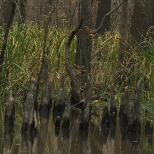 Stream Joy by Krusty Bits | Listen online for free on SoundCloud