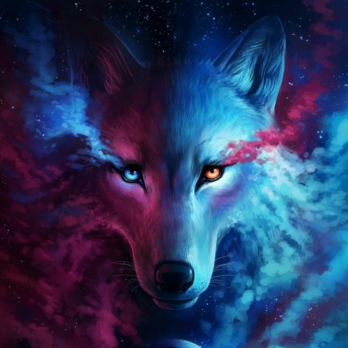 Stream Wolf by Dj Yulya | Listen online for free on SoundCloud