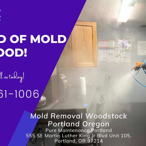 Stream Mold Removal Woodstock Portland Oregon - Pure Maintenance ...