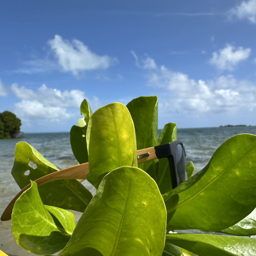 Stream Track 02 - Just a Friend by Lilly Nu Nimgil | Listen online for ...