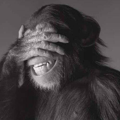 Stream Füll Water in de Bloemenvaas by Fluffy Mc‘Ape | Listen online ...