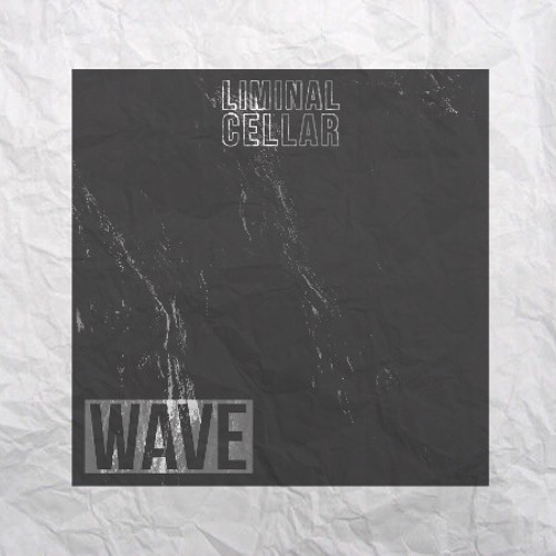 Stream LIMINAL CELLAR - Wave by Liminal Spaces | Listen online for free ...
