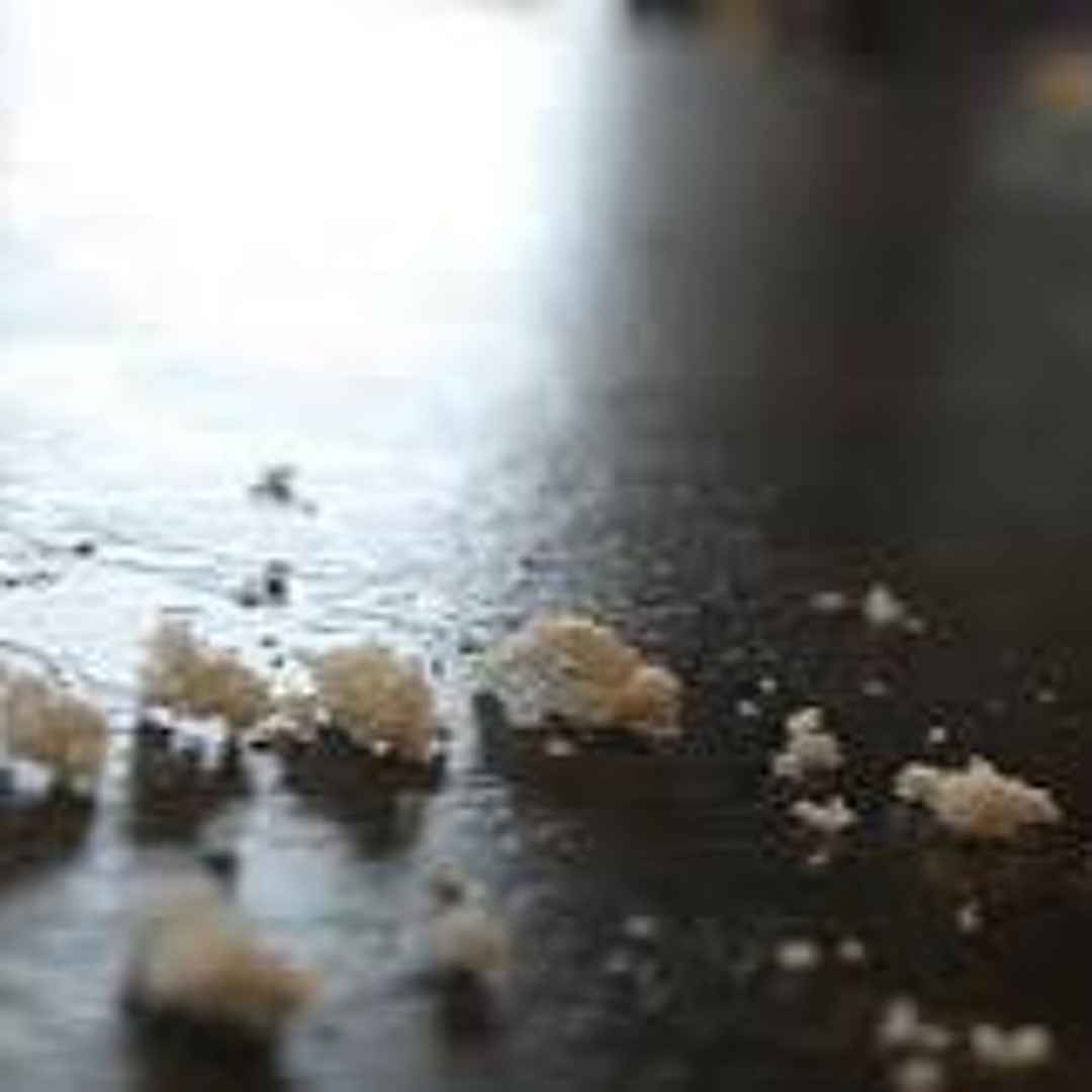 Stream Crumbs Under The Table by Abdellatif Laabi by Anton Jarvis ...