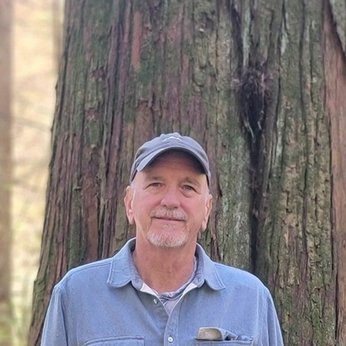 Stream The End Of The Day by Tom Paul | Listen online for free on ...