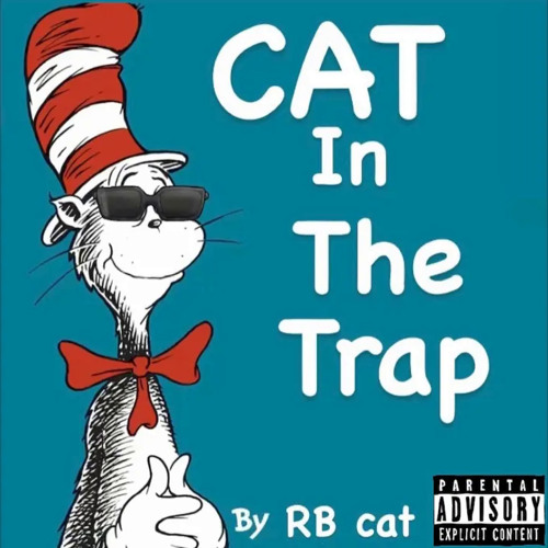 Stream Project cat- RB Cat by (@justinnmedia) | Listen online for free ...