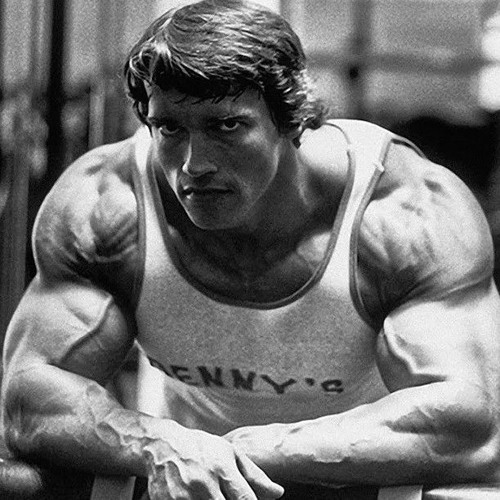 @Alfredolifts | Instagram | Linktree