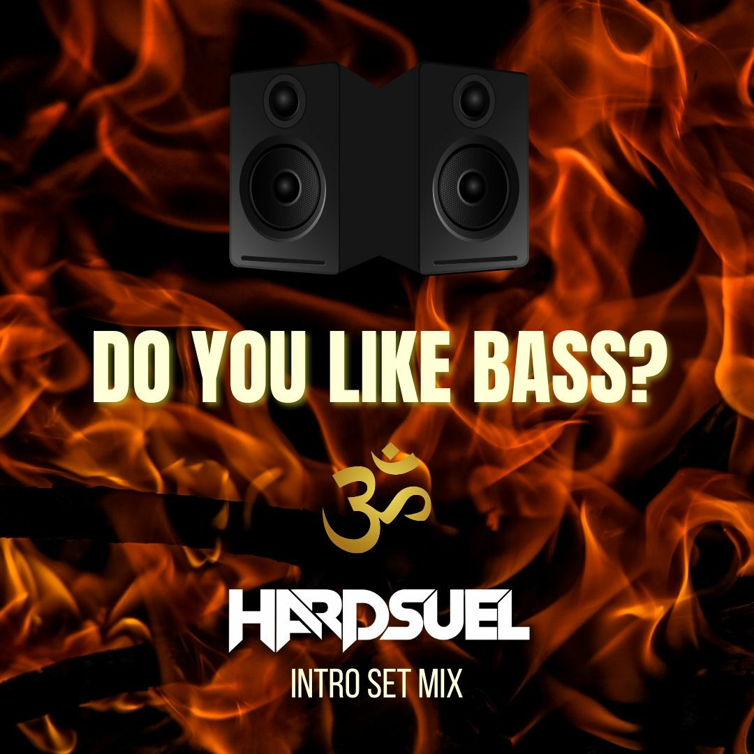 Stream Do You Like Bass - HARDSUEL Intro Set Mix (TikTok Viral) by ...