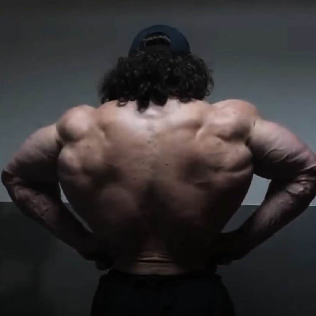 Stream SAM SULEK GYM MOTIVATION Back And Rear Delts by Nono77 | Listen ...