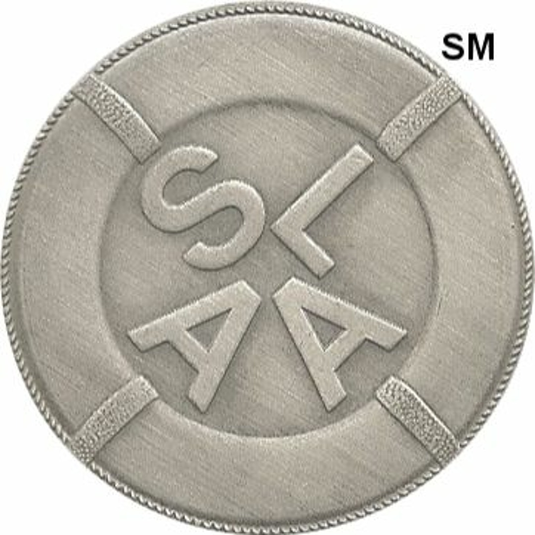 Stream The Augustine Fellowship, S.L.A.A. | Listen to S.L.A.A. Recovery ...