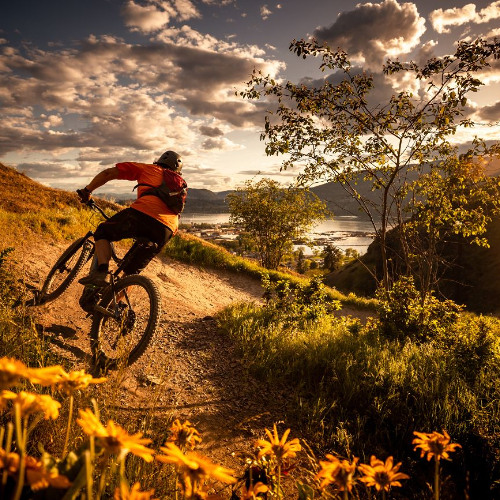 Stream Best of Awake in the World: Moment To Moment Non-Stop Flow by ...