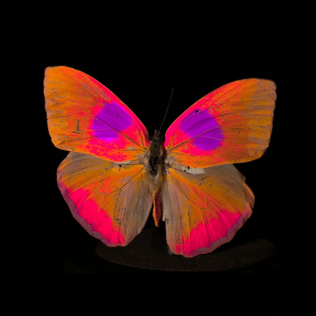 Stream Rabudi Beng - I Struggle by Rabudi Beng | Listen online for free ...