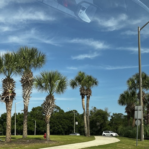 Stream datfootdive - the pressure to persist [slowed & reverb] by ...