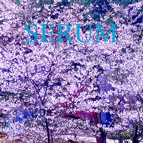 Stream Serum by SmokeySessionz | Listen online for free on SoundCloud