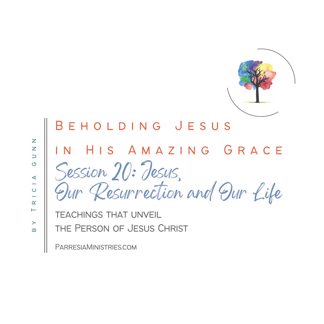 Stream Beholding Jesus in His Amazing Grace, Session 20, "Jesus, Our ...