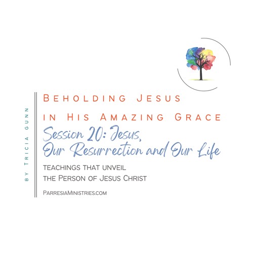 Stream Beholding Jesus in His Amazing Grace, Session 20, Stream Beholding Jesus in His Amazing Grace, Session 20,