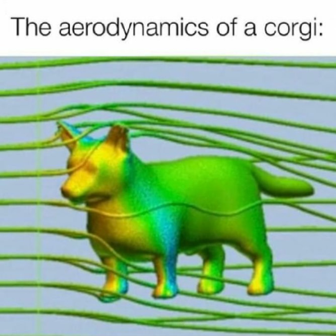 Stream the aerodynamics of a corgi by tohomoko | Listen online for free ...