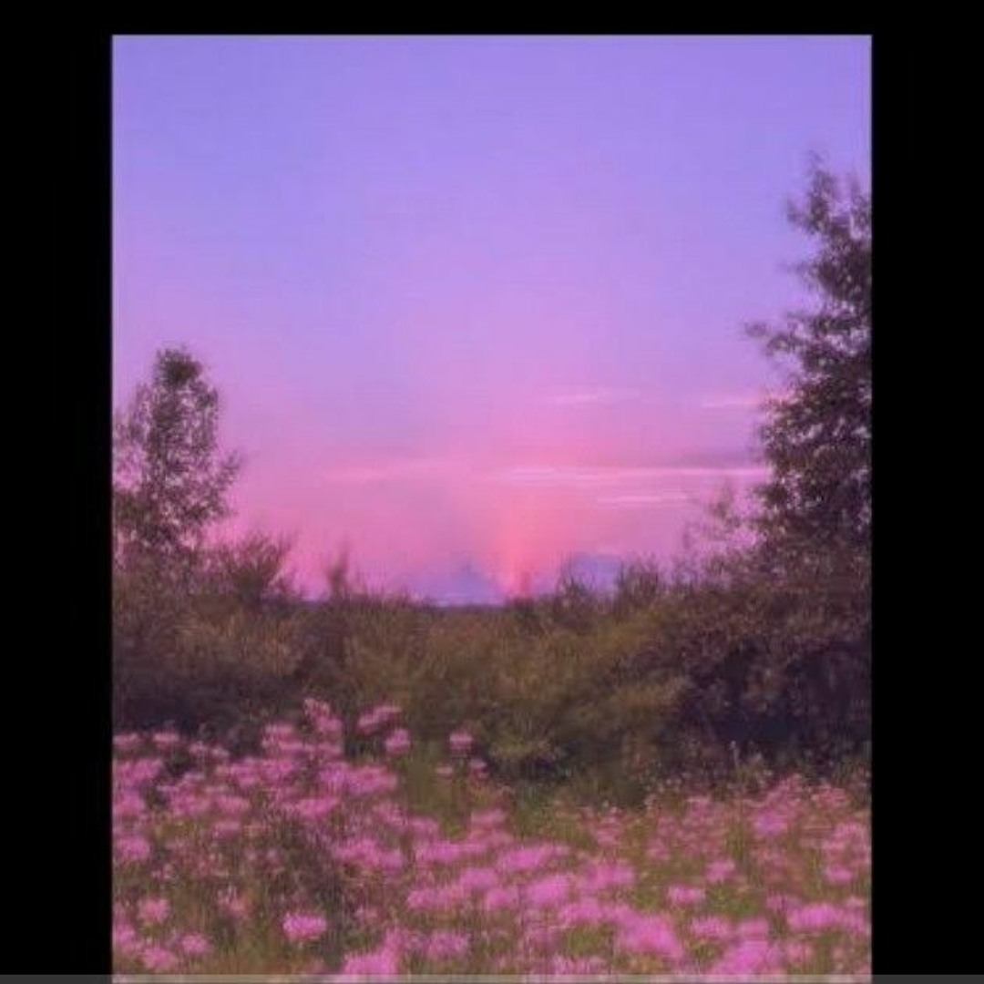 Stream playboi carti x adrian "new day" [prod. adturnup] by IvagabondI ...