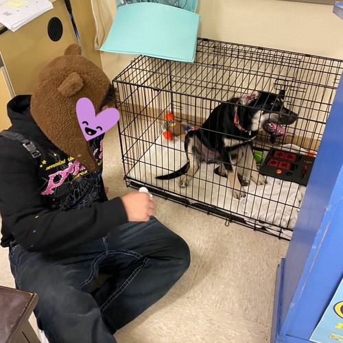 Stream flunking by samii | Listen online for free on SoundCloud