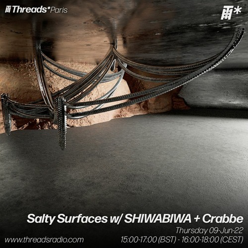 Stream Salty Surfaces #17 - SHIWABIWA W/ Crabbe (Bazzerk, Paris) by ...